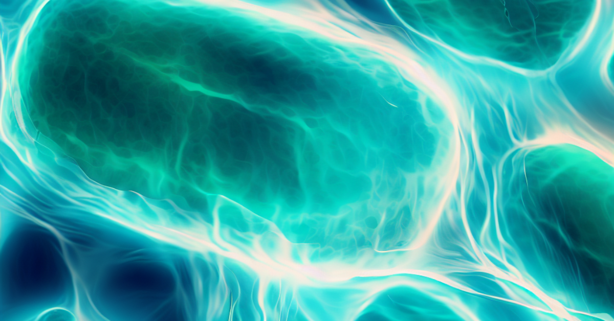 First Institute of All Medicines